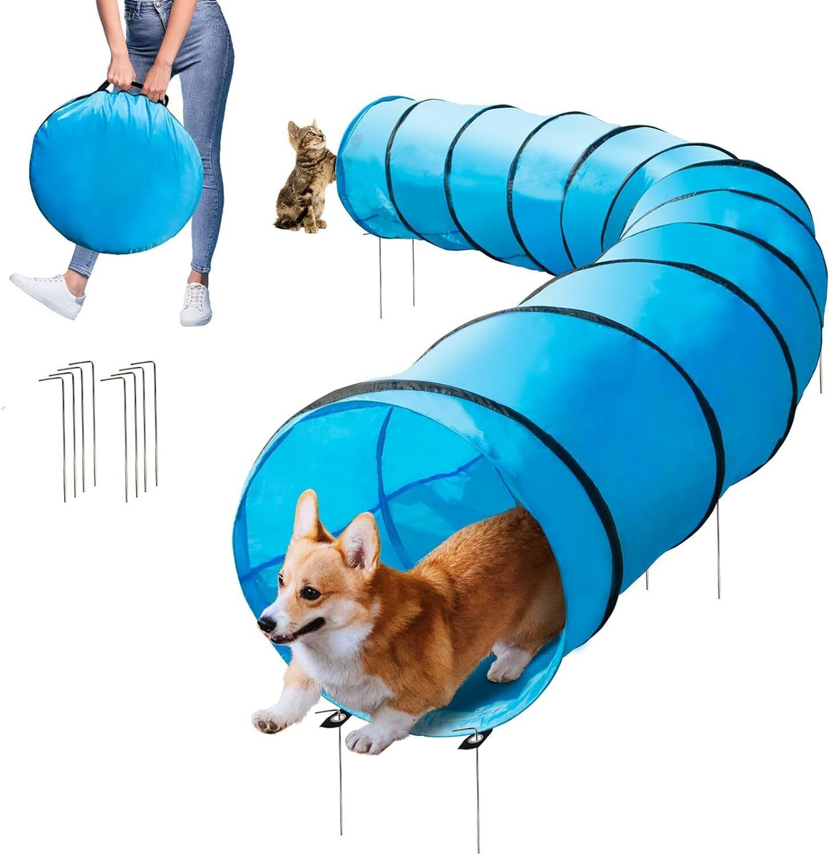 Foldable Dog Agility Pet Training Exercise Tunnel Chute for Puppy Cat ...