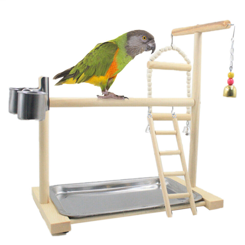 Wood Perch Bird Play Stand Cockatiel Playground Gym Toys Parrot – Smart ...